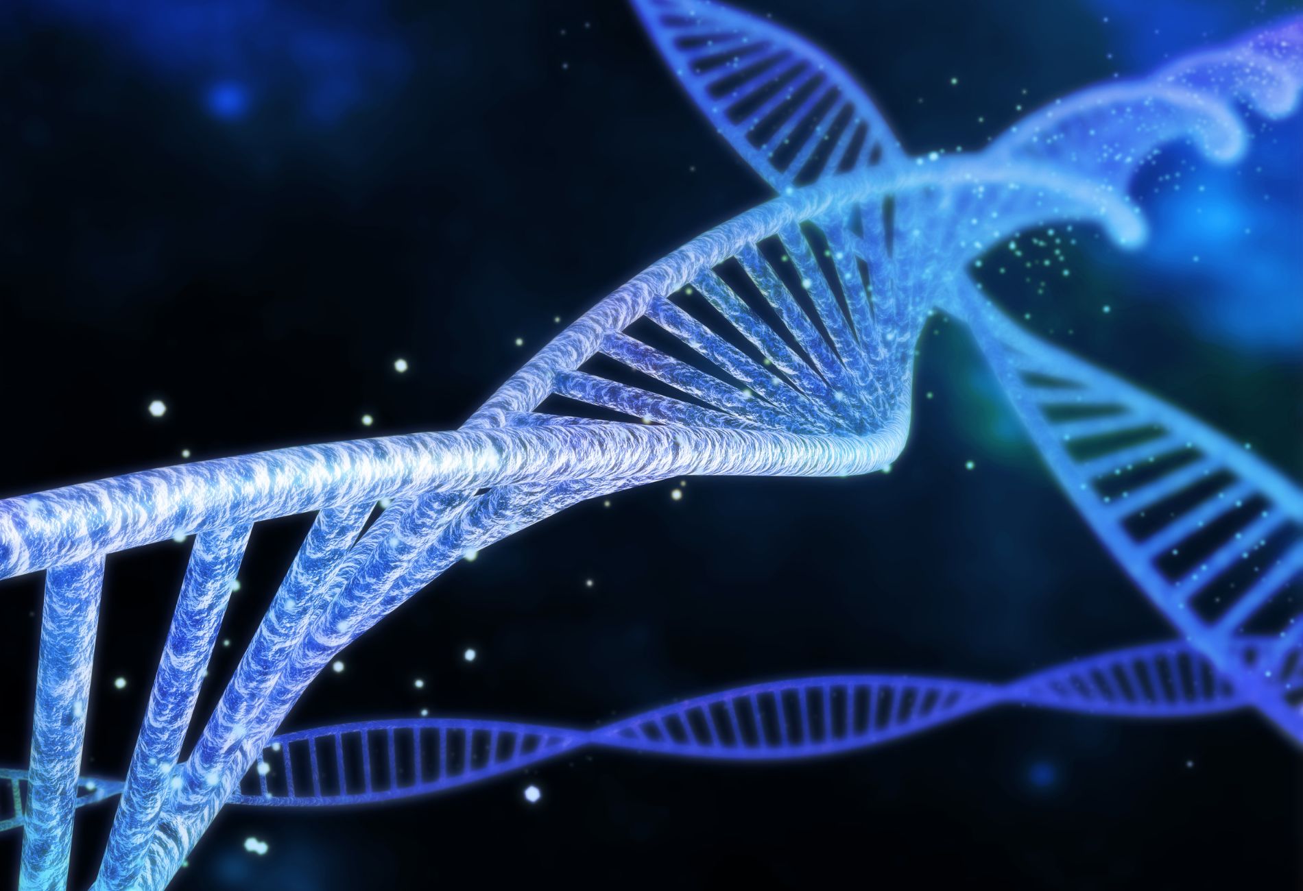 Pourquoi la chambre à tachyons ? - Chambre à Tachyons - Marne